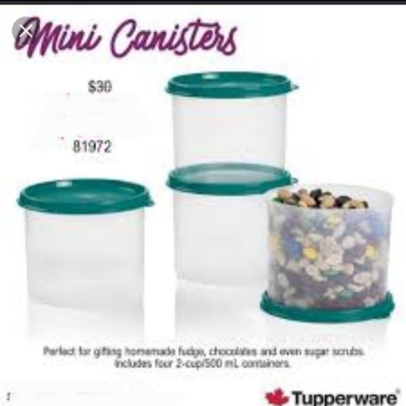 Tupperware | Kitchen | Tupperware Mini Canisters | Poshmark